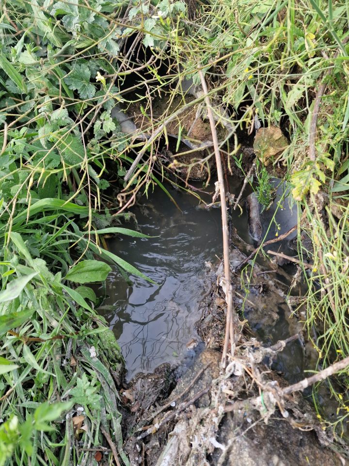 ETAR de Touriz, município de Tábua, lança águas residuais sem ...